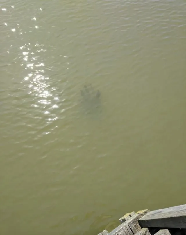 30 Horrifying Pics You Absolutely Must See And Share