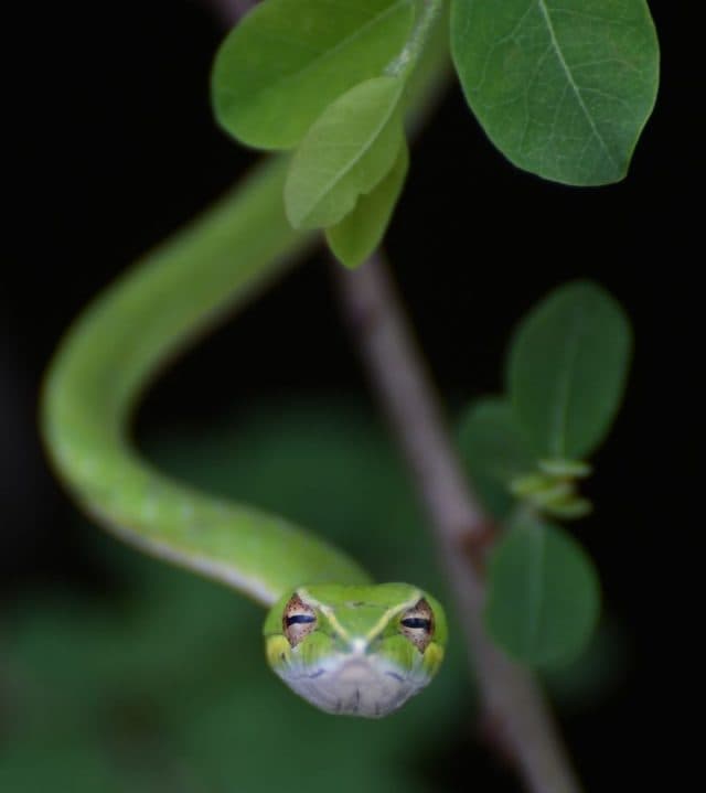 30 Absolutely Stunning Nature Shots From Great Photographers