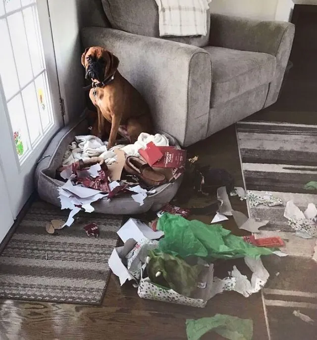 30 Sad Pictures Of People Who Are Having A Bad Christmas