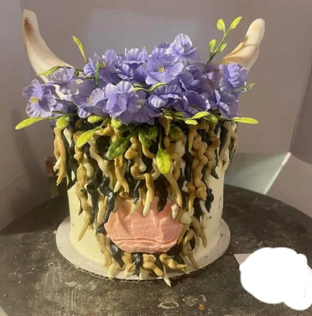 30 Unbelievably Funny Cake Fails That Will Make You Laugh