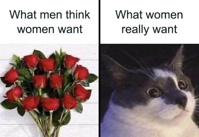 30 Hilariously Awkward Memes That Will Make You Laugh