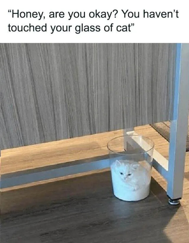 30 Hilariously Awkward Memes That Will Make You Laugh