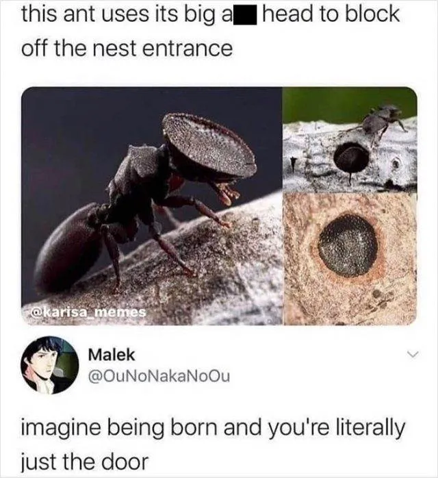 30 Hilariously Awkward Memes That Will Make You Laugh