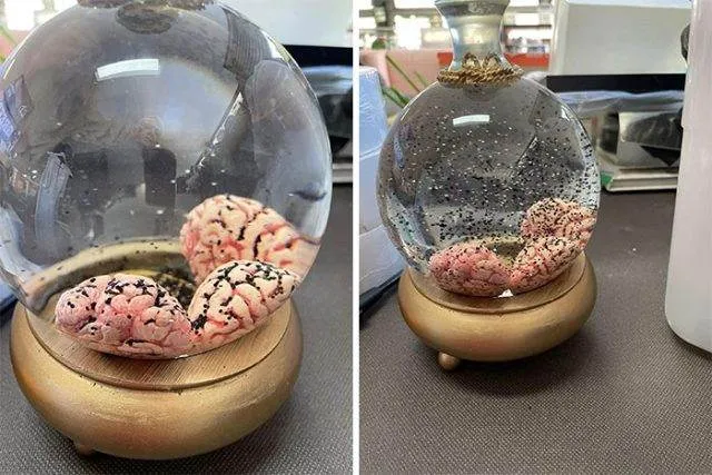 30 Extremely Random And Unhinged Stuff In Charity Shops