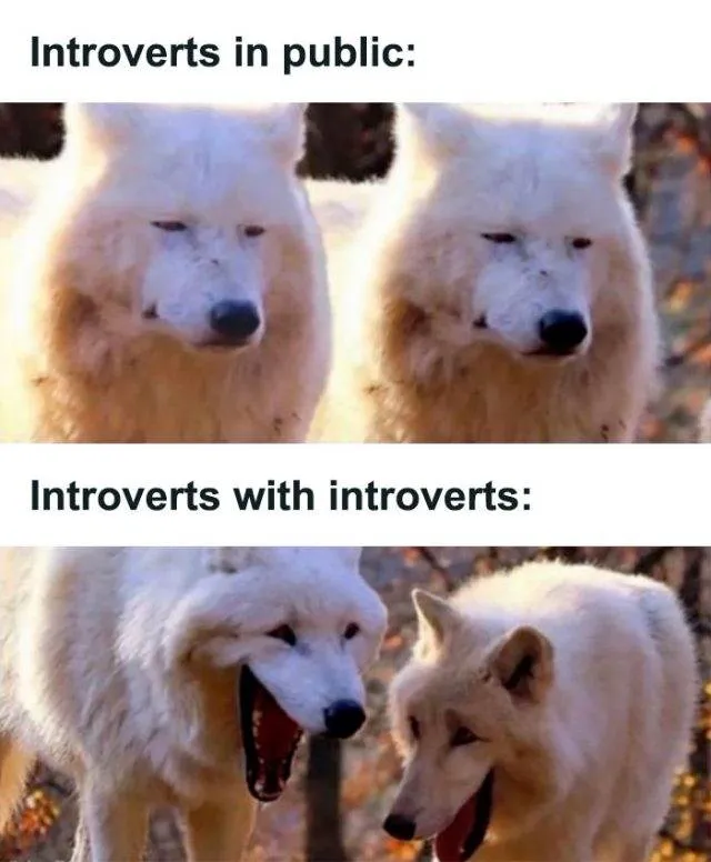 30 Spot-On And Funny Memes About Introverts