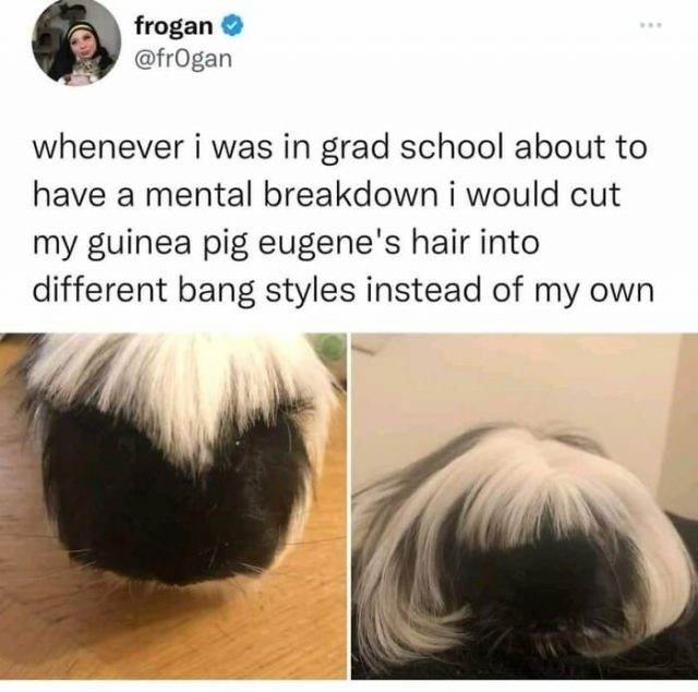 30 Hilariously Awkward Memes That Will Make You Laugh
