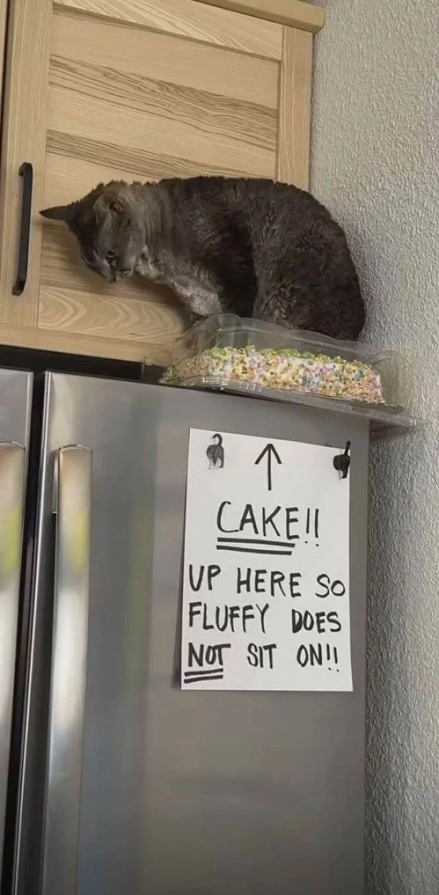 30 Hilariously Awkward Memes That Will Make You Laugh