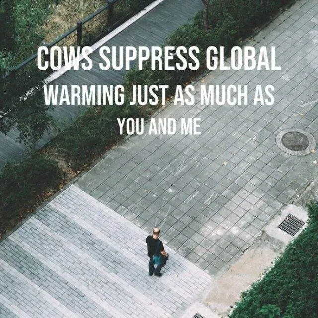 30 Hilarious Quotes Made By A Bot T