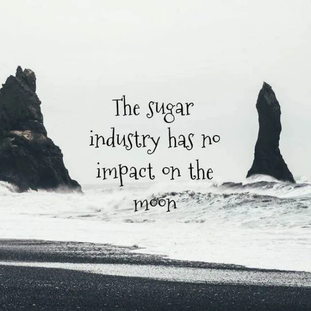 30 Hilarious Quotes Made By A Bot T