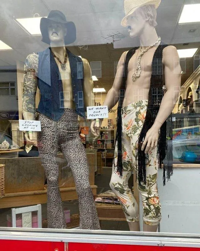 30 Extremely Random And Unhinged Stuff In Charity Shops