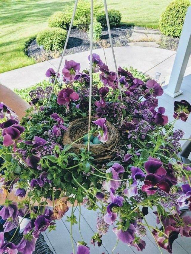 30 Adorable Pictures Of Nests In The Most Random Places
