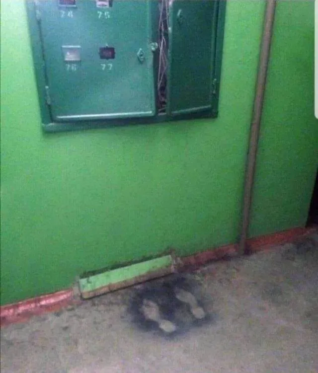 30 Cursed Images To Provide You Your Dose Of Disturbing