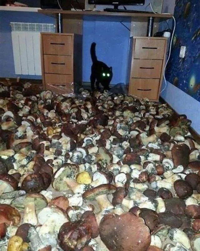 30 Cursed Images To Provide You Your Dose Of Disturbing