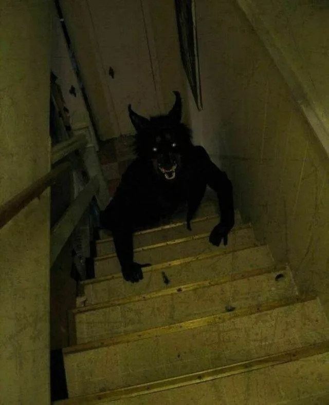 30 Cursed Images To Provide You Your Dose Of Disturbing