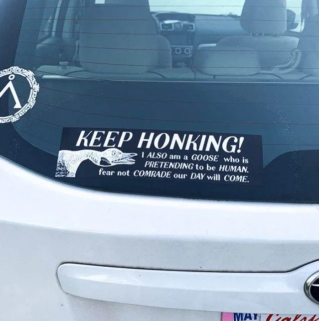 30 Times People Spotted Hilarious Bumper Stickers Ever