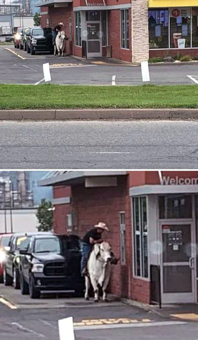 30 Funny, Weird, And Interesting Things Spotted On The Road