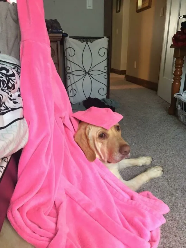 30 Heartwarming Moments Of Kids Caught Doing Sweet Things