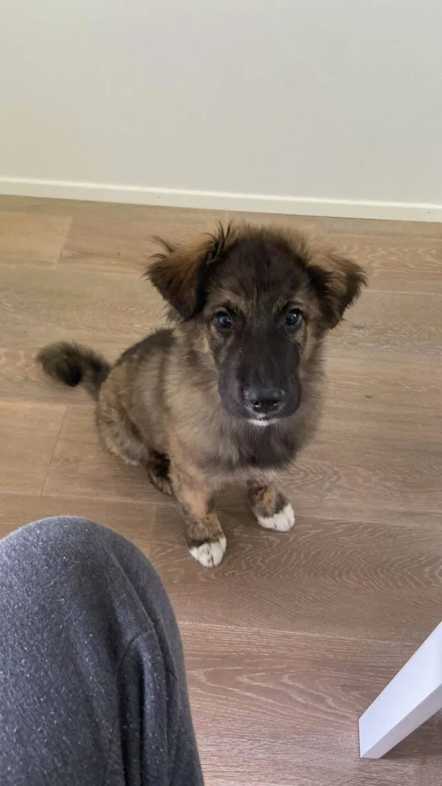 30 Uplifting Photos That Prove We Don’t Deserve Animals