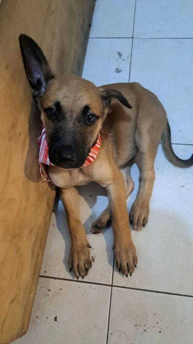 30 Uplifting Photos That Prove We Don’t Deserve Animals