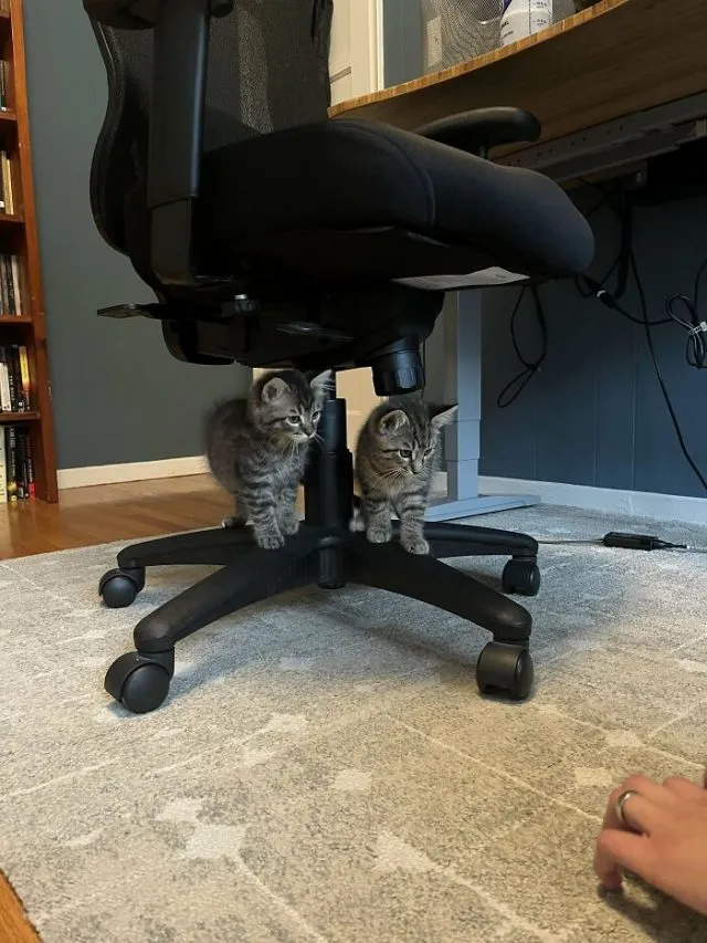 30 Uplifting Photos That Prove We Don’t Deserve Animals