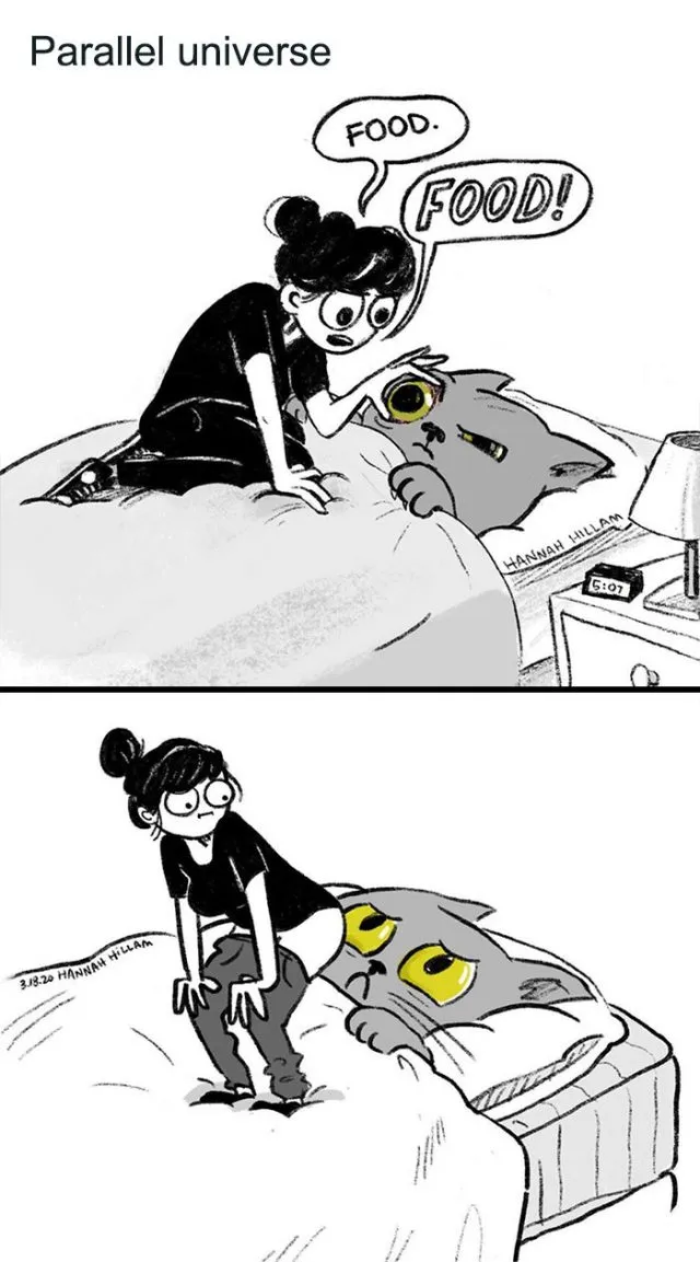 30 Hilarious Cat Posts And Memes