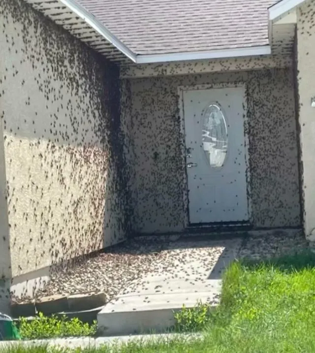 30 Extremely Unfortunate Situations People Had To Deal With