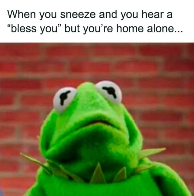 30 Funny Kermit The Frog Memes That Might Make Your Day