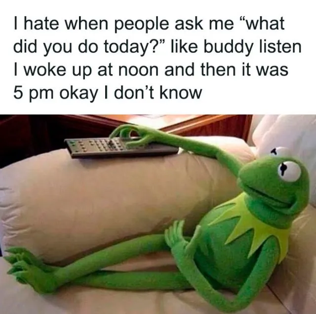 30 Funny Kermit The Frog Memes That Might Make Your Day