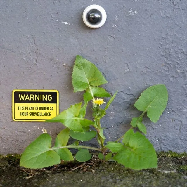 30 Astonishing Mini City Signs Crafted By An Amazing Artist