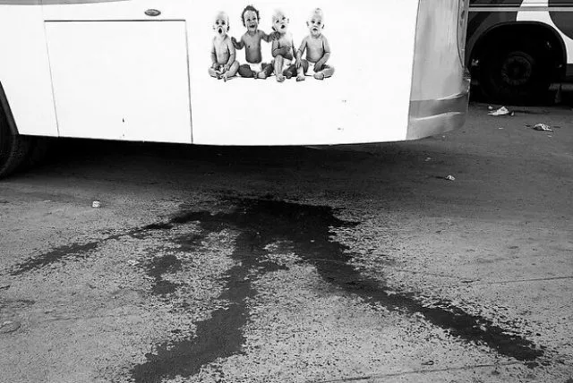 30 Intriguing Images That Will Fascinate You