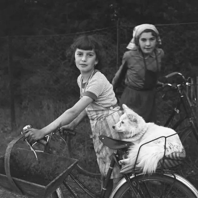 30 Intriguing Images That Will Fascinate You