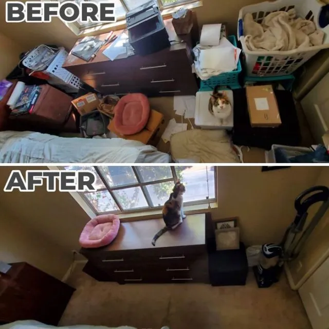 30 Instances Of People Cleaning That Incredibly Satisfying