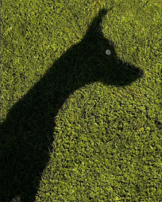 30 Intriguing Images That Will Fascinate You