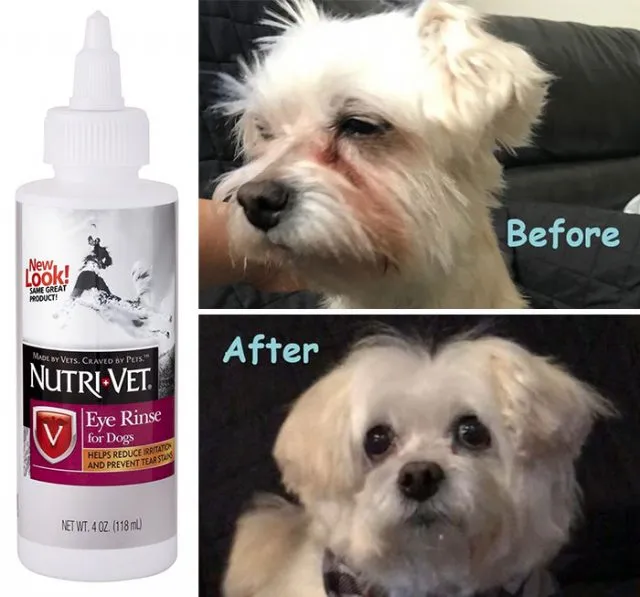 30 Game-Changing Products For Effortless Pet Solutions!