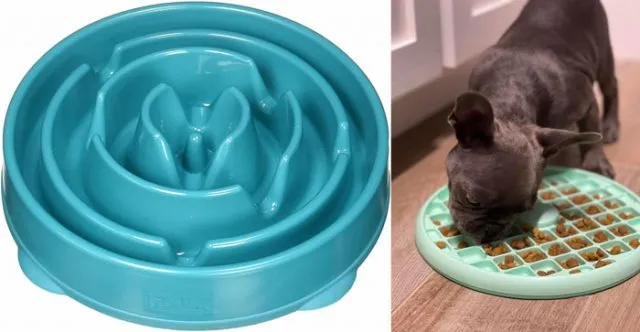 30 Game-Changing Products For Effortless Pet Solutions!