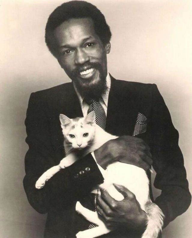 30 Classic Cat Photos Demonstrating Their Superiority