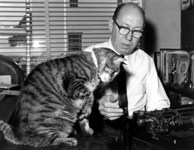 30 Classic Cat Photos Demonstrating Their Superiority