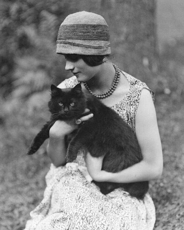 30 Classic Cat Photos Demonstrating Their Superiority