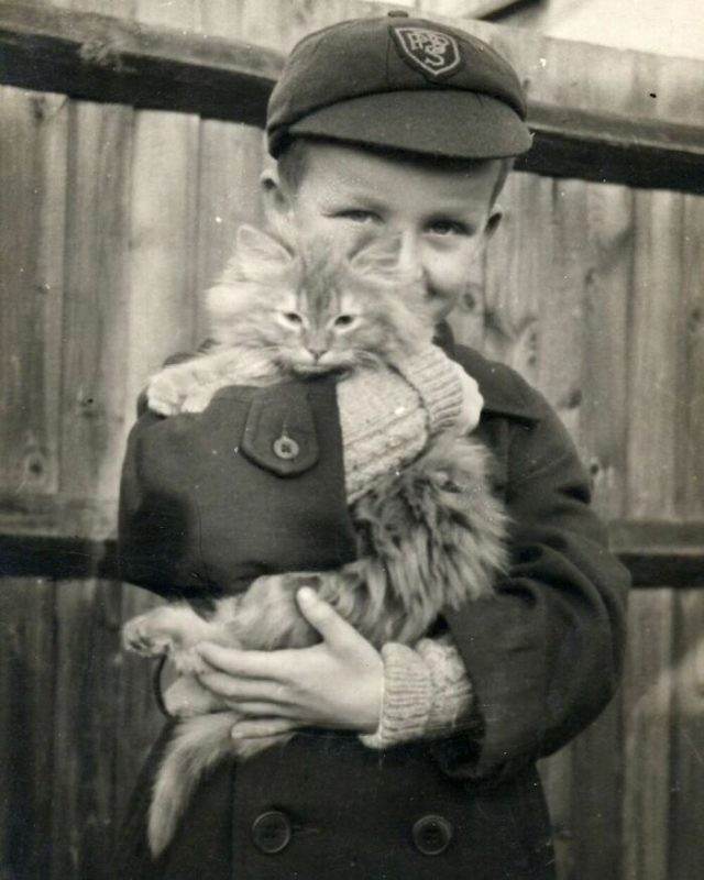 30 Classic Cat Photos Demonstrating Their Superiority