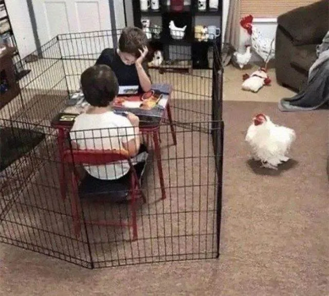 30 Bewildering Images That Have A Strange Energy To Them