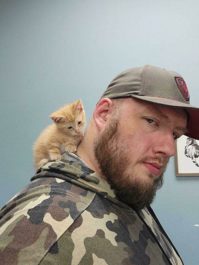 30 Of The Most Heartwarming Pics Of Happily Adopted Pets