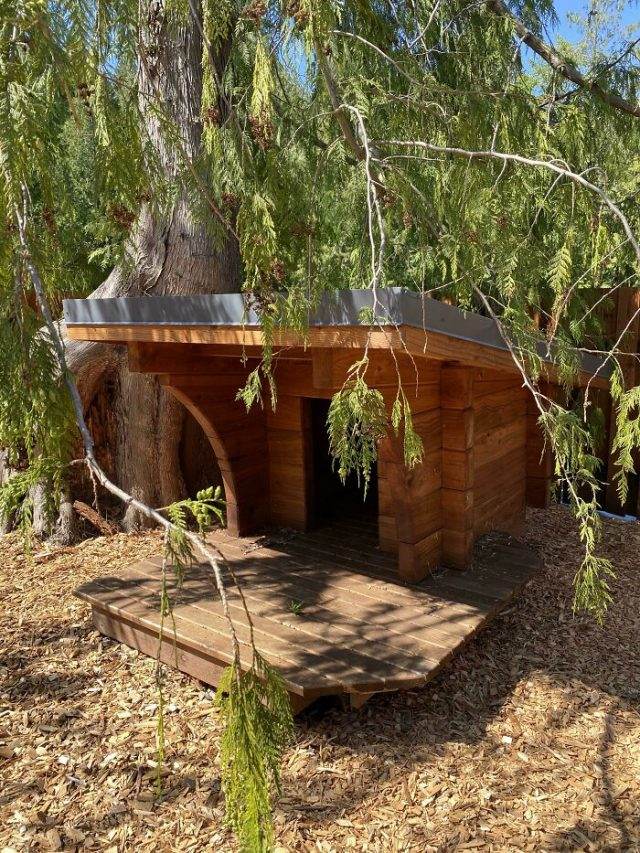 30 Times Dogs Got Only The Best Dog Houses