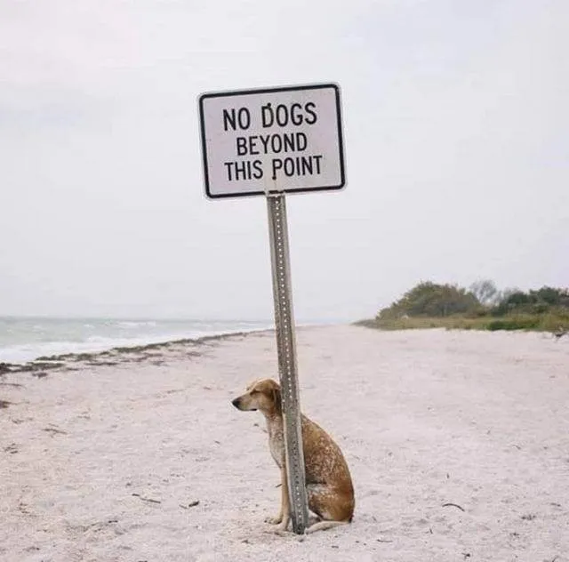 30 Must-See Hilarious Signs That Will Leave You In Stitches