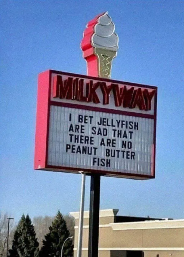 30 Spotted Signs That Are Incredibly Amusing.