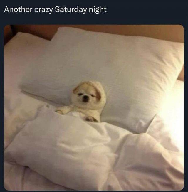 30 Absolutely Hilarious Memes To Brighten Your Day
