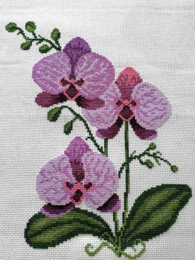 30 Beautiful Cross-Stitch Patterns You Must See
