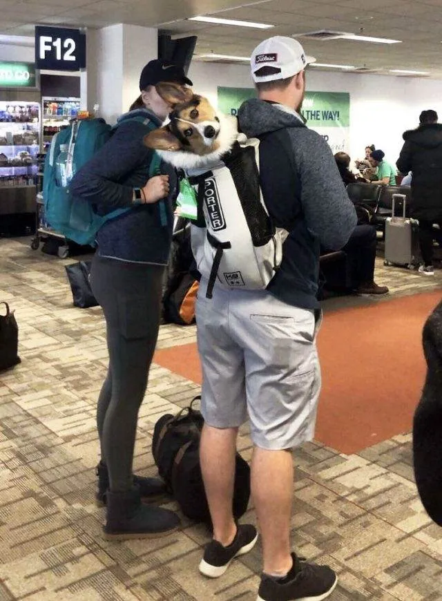 30 Hilarious And Bizarre Airport Photos