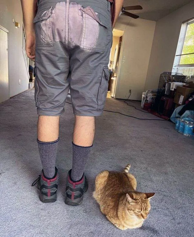 30 Cleaning Fails That Will Make Your Day Look Better