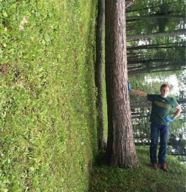 30 Hilarious Memes That Need Absolutely No Context