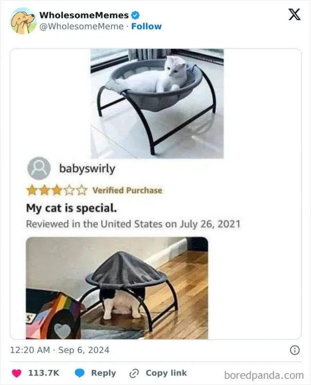 30 Uplifting Memes To Restore Your Faith In The World